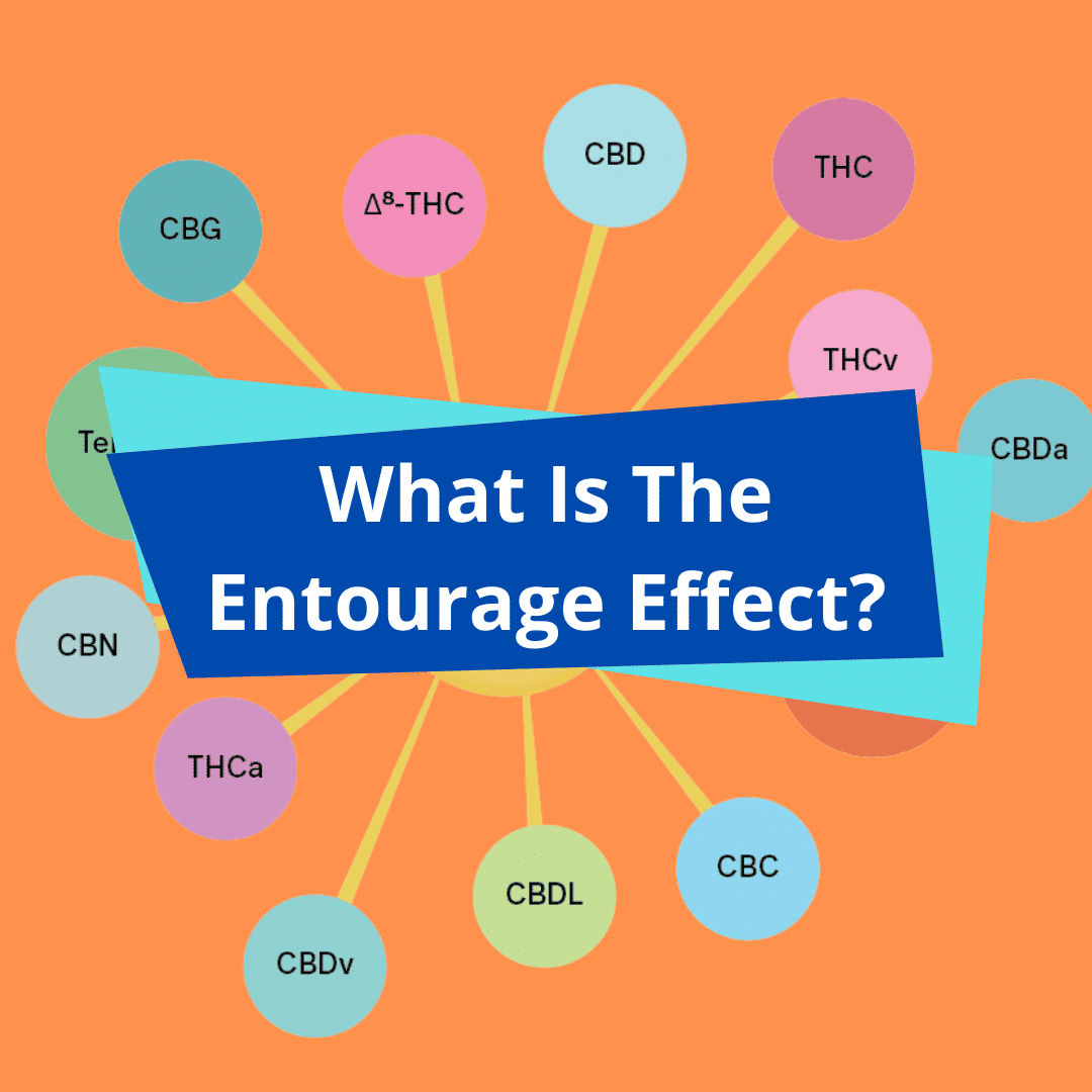 What Is the Entourage Effect? - SacredMeds