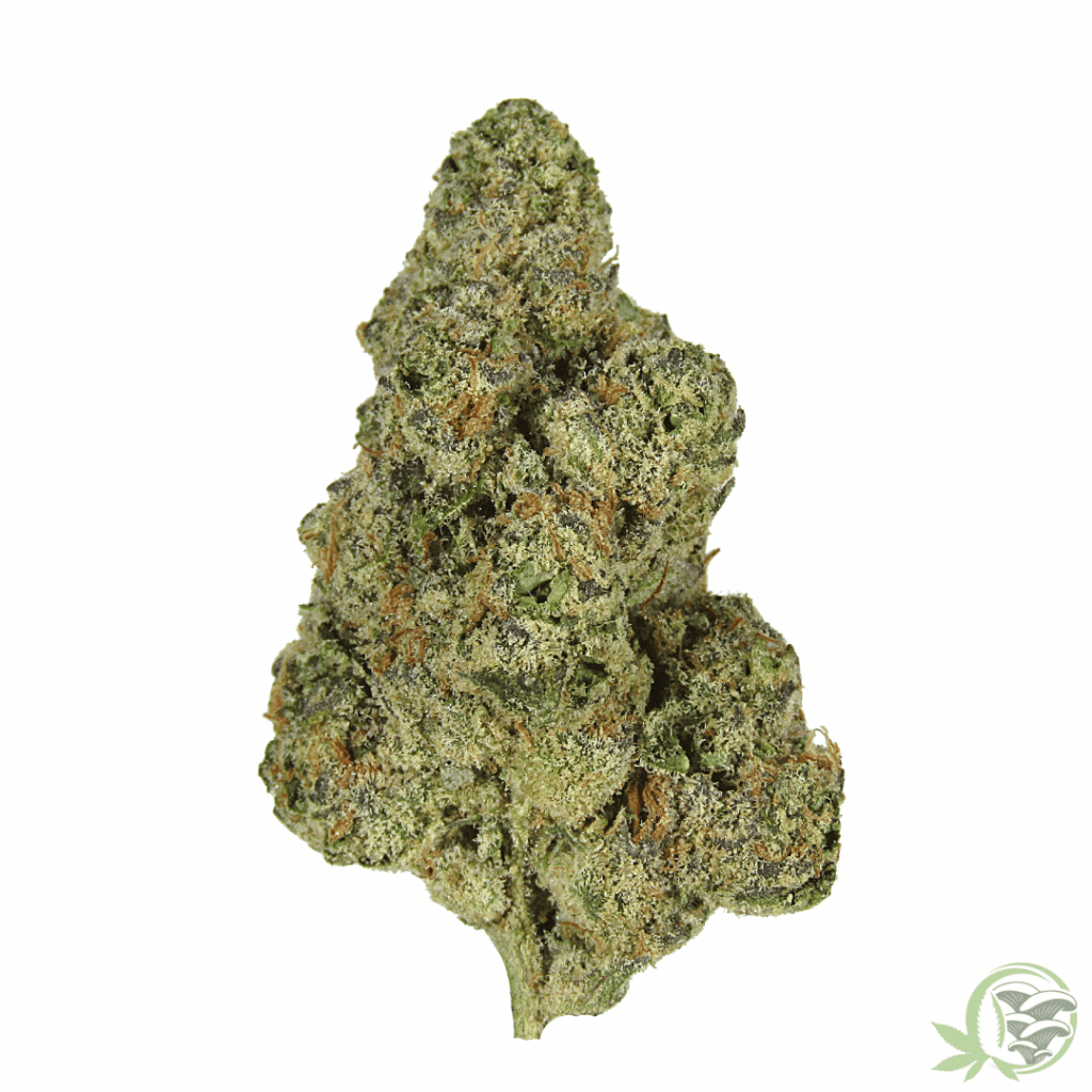 Cream Mandarine Indica Dominant Hybrid SacredMeds