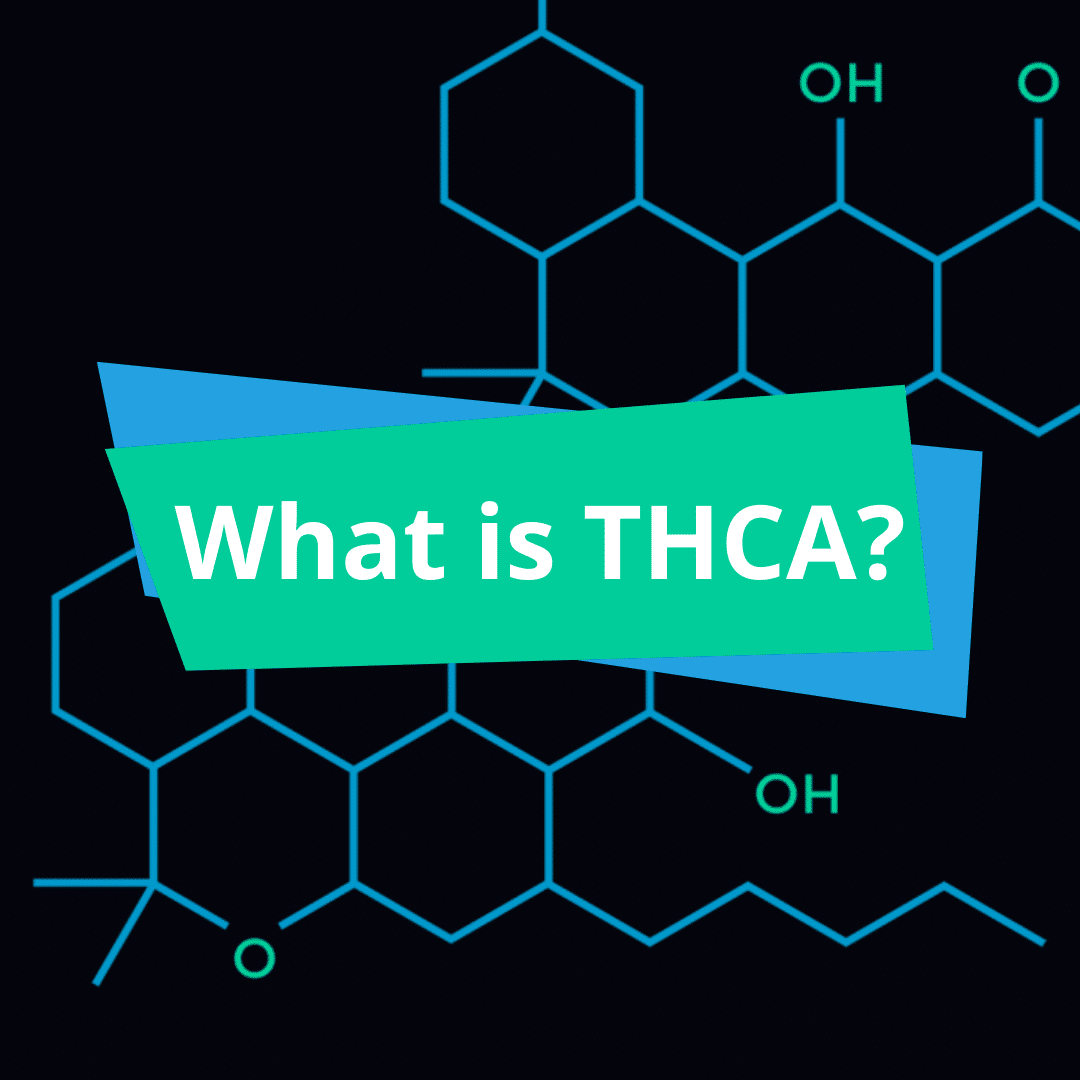 What is THCA? - Informative article by SacredMeds