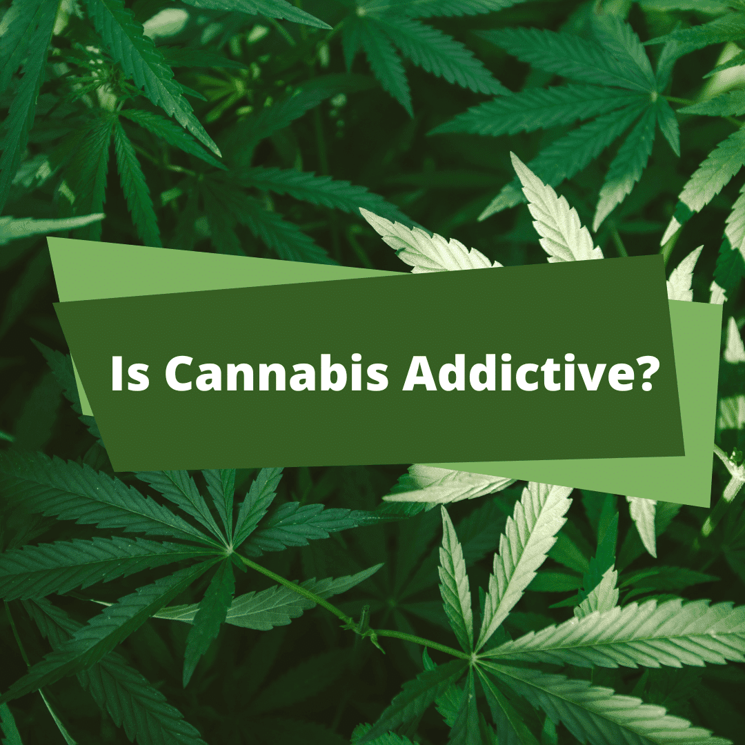Is Cannabis Addictive? - SacredMeds
