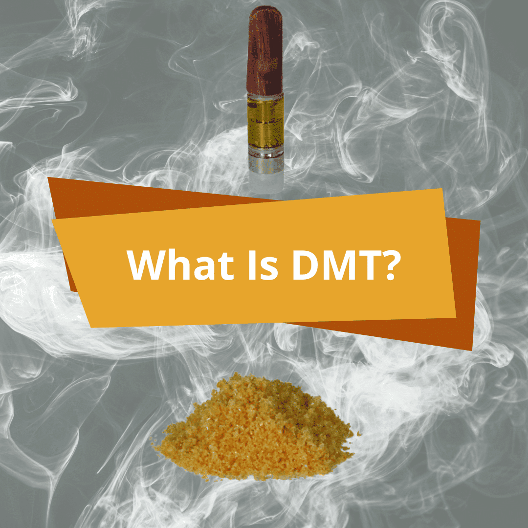 What is DMT? - Informative Article - SacredMeds
