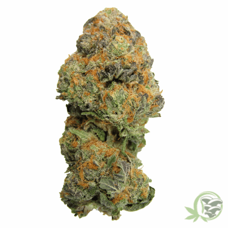 Buy Spumoni (Mids) - Craft Cannabis Strain - SacredMeds