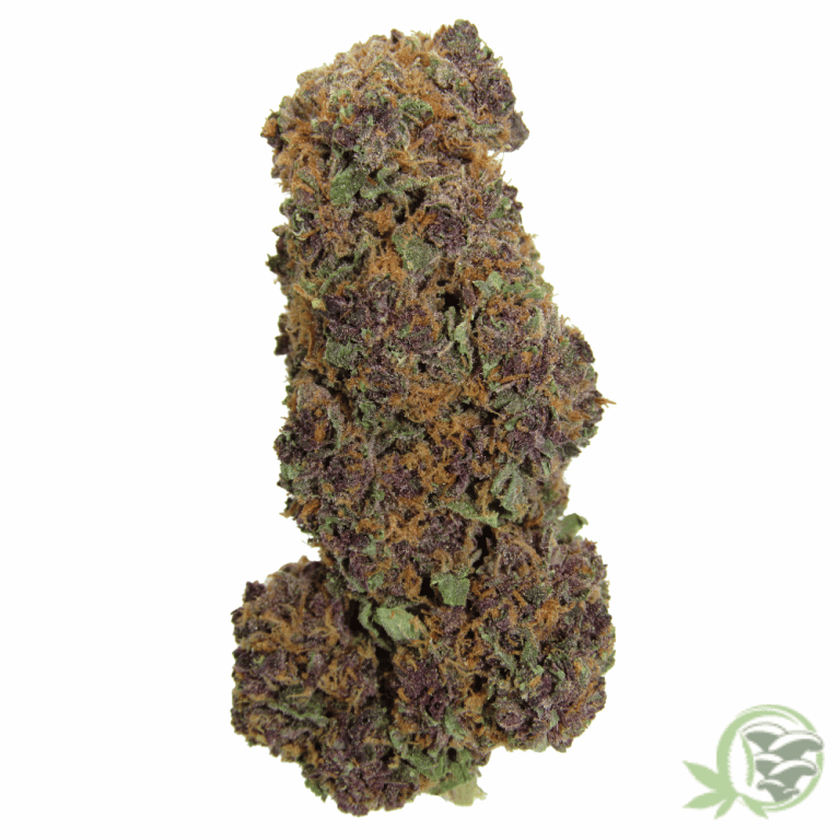 Buy Tropicana Cookies - Craft Cannabis Strain - SacredMeds