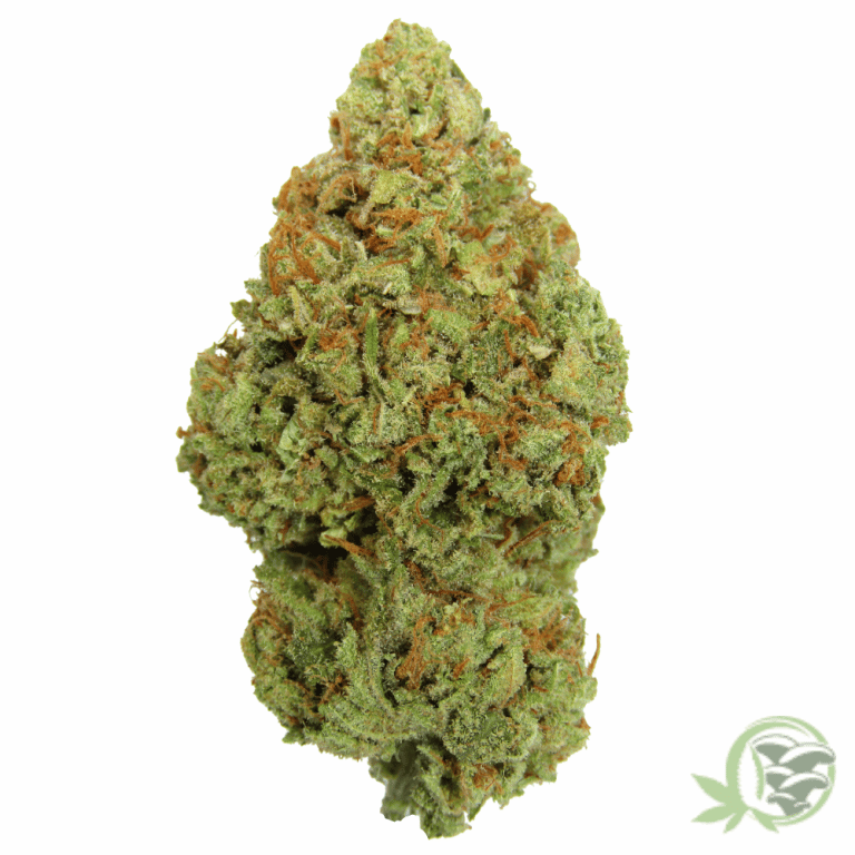 Citrique Sativa Dominant Strain -Available at SacredMeds