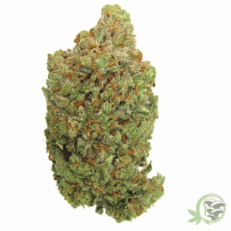 Citrique Sativa Dominant Strain -Available at SacredMeds