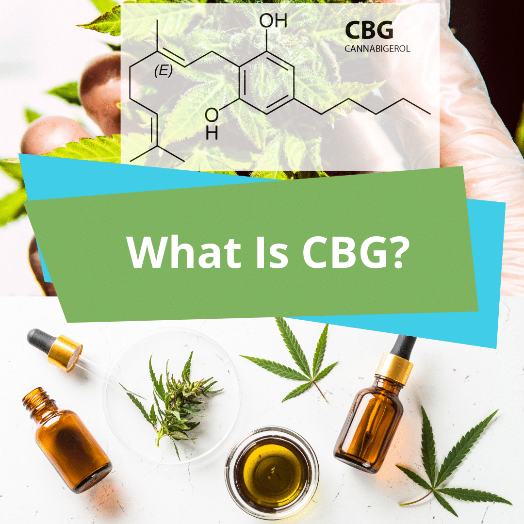 What is CBG? Informative Article by SacredMeds