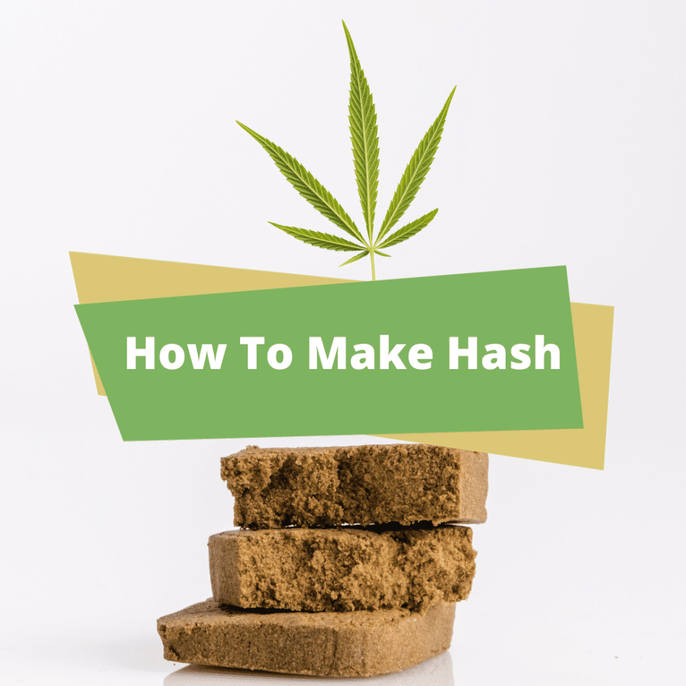 How to Make Hash - Tips and Tricks by SacredMeds