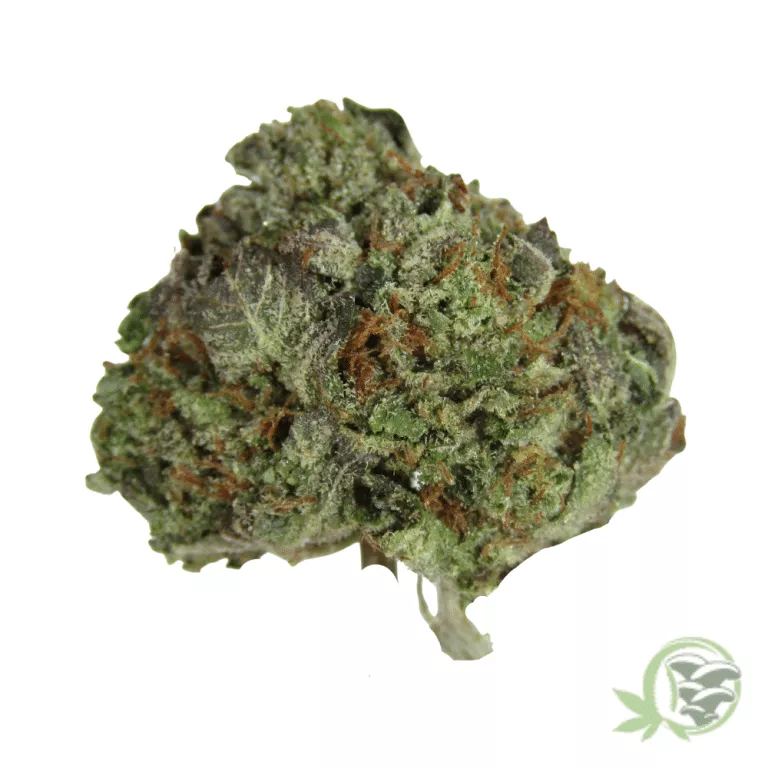 Pinkman Goo - Craft Cannabis Strain - SacredMeds