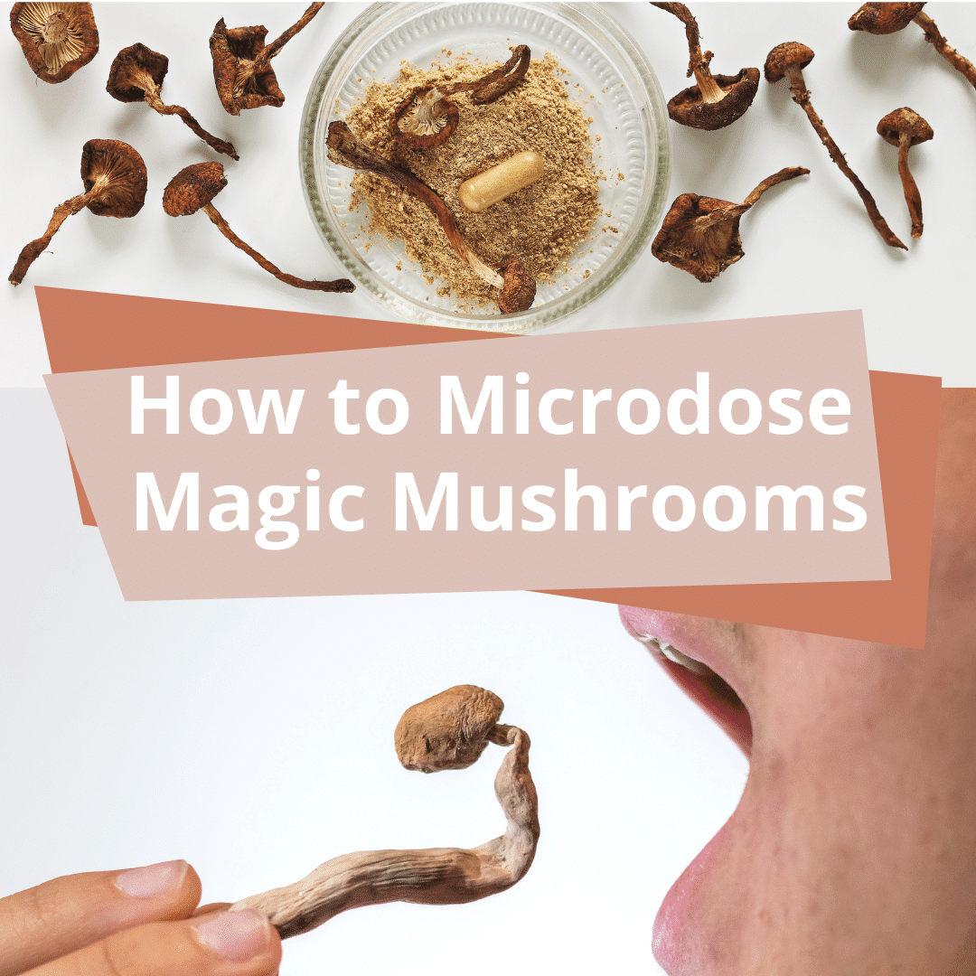 How to Microdose Magic Mushrooms - SacredMeds