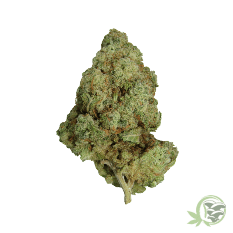 Buy Amnesia Kush Strain Online in Canada