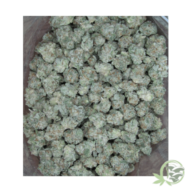 Buy Ghost Train Haze (Mids) Strain Online in Canada