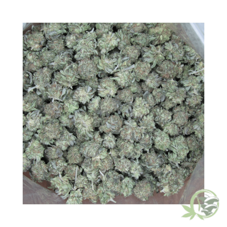 Buy Grape Gas (Smalls) Strain Online in Canada