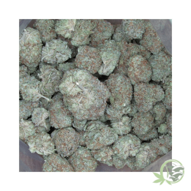 Buy Tangerine Dream Strain Online in Canada