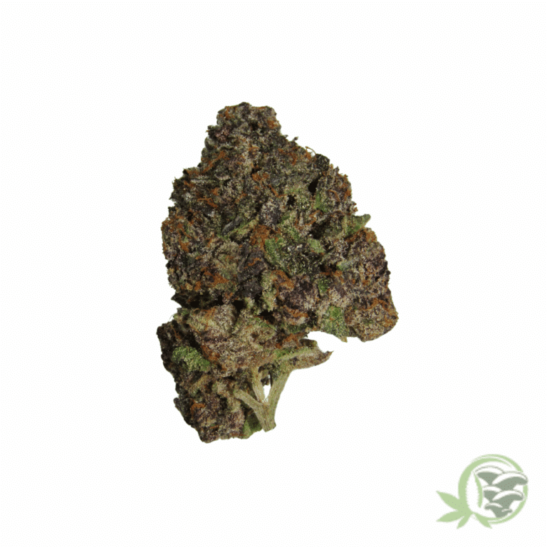Buy Bacio Gelato Strain Online in Canada