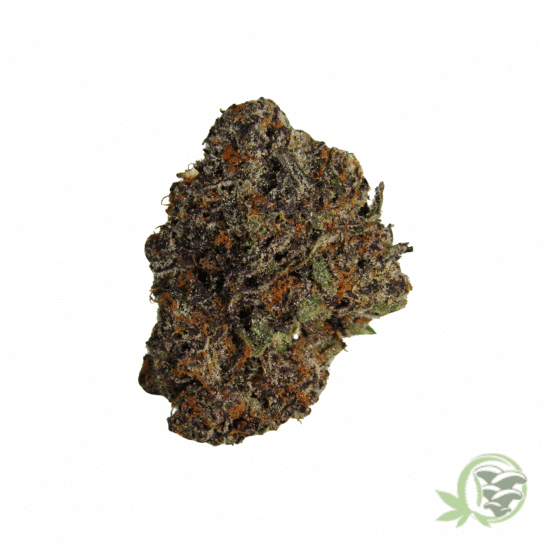 Buy Bacio Gelato Strain Online in Canada