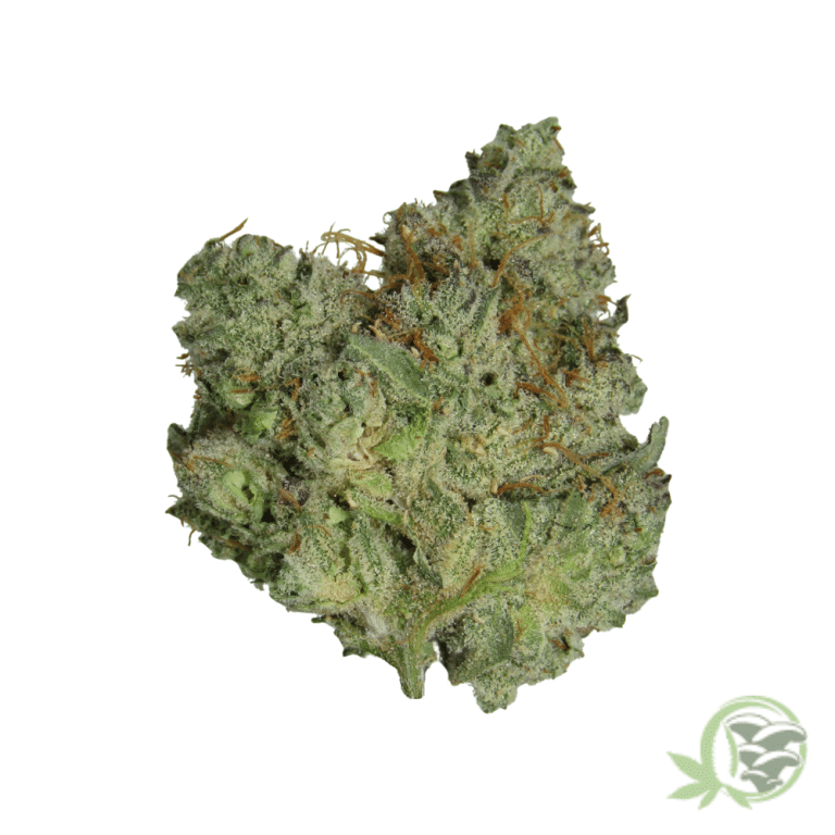 Buy Blue Lobster Strain Online in Canada