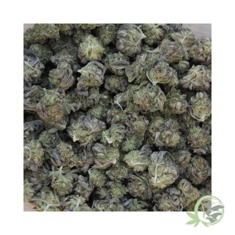 Buy Permanent Marker (Mids) Strain Online in Canada