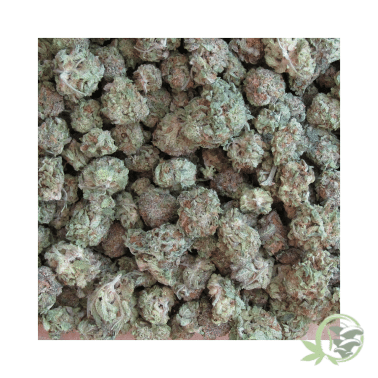 Gushers (Mids) - Indica Dominant Hybrid Strain - SacredMeds